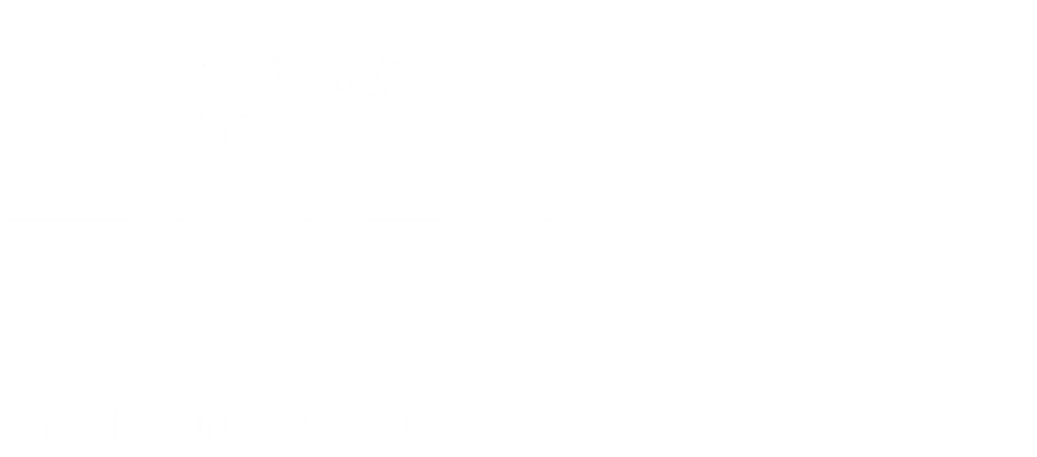 Menu - ZURI